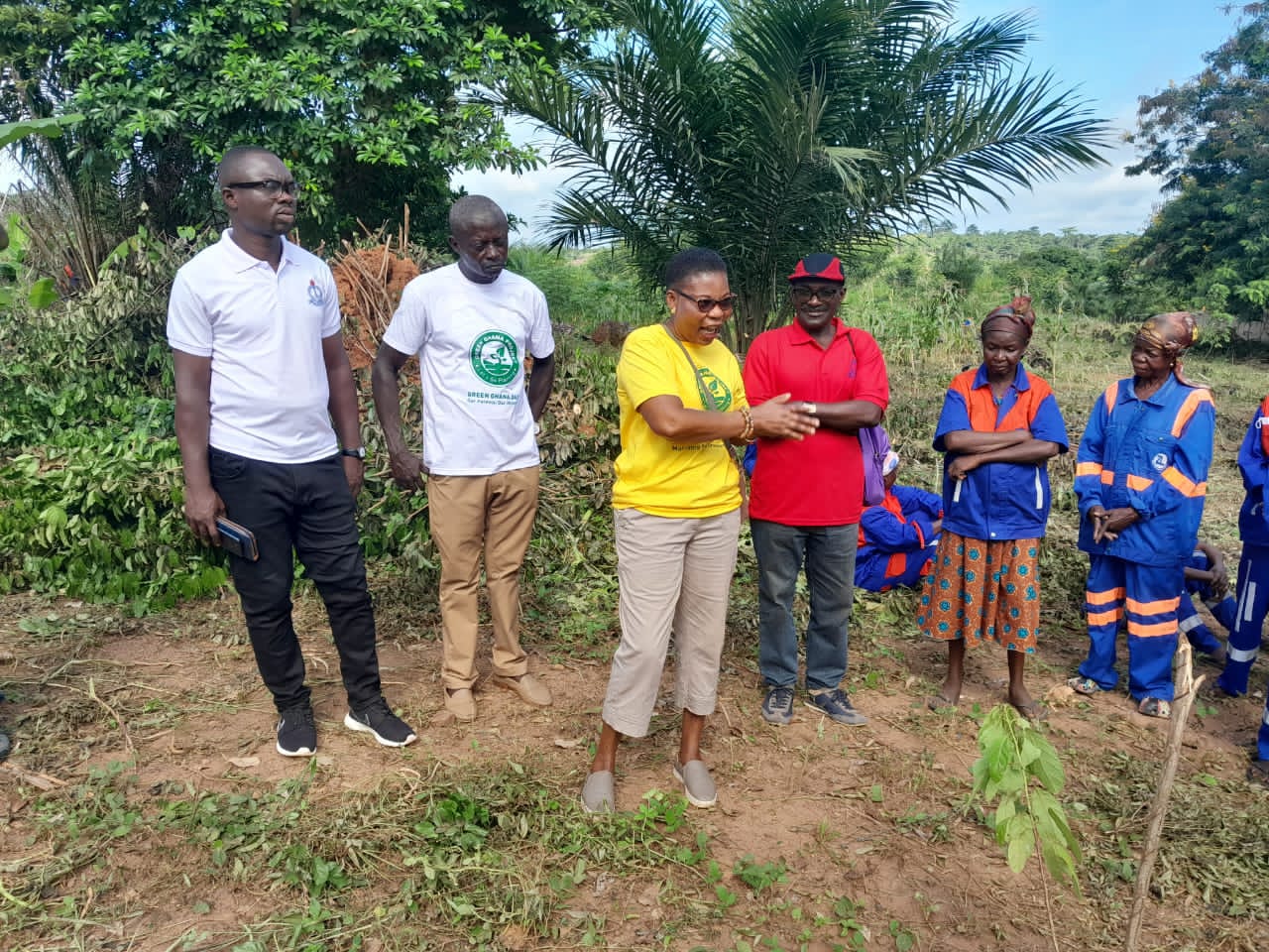 Green Ghana Day: Trees are very vital to human Life, let's all get ...